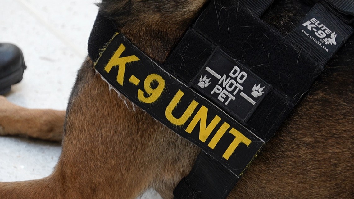 MOA now using gun-detecting K-9 officers | kare11.com