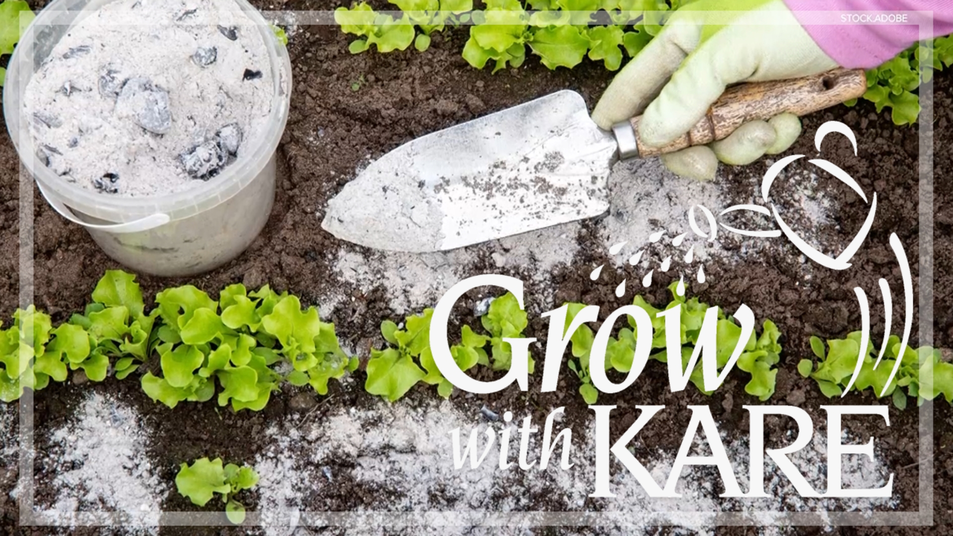 Grow with KARE: Pros & cons of using wood ashes in the garden | kare11.com