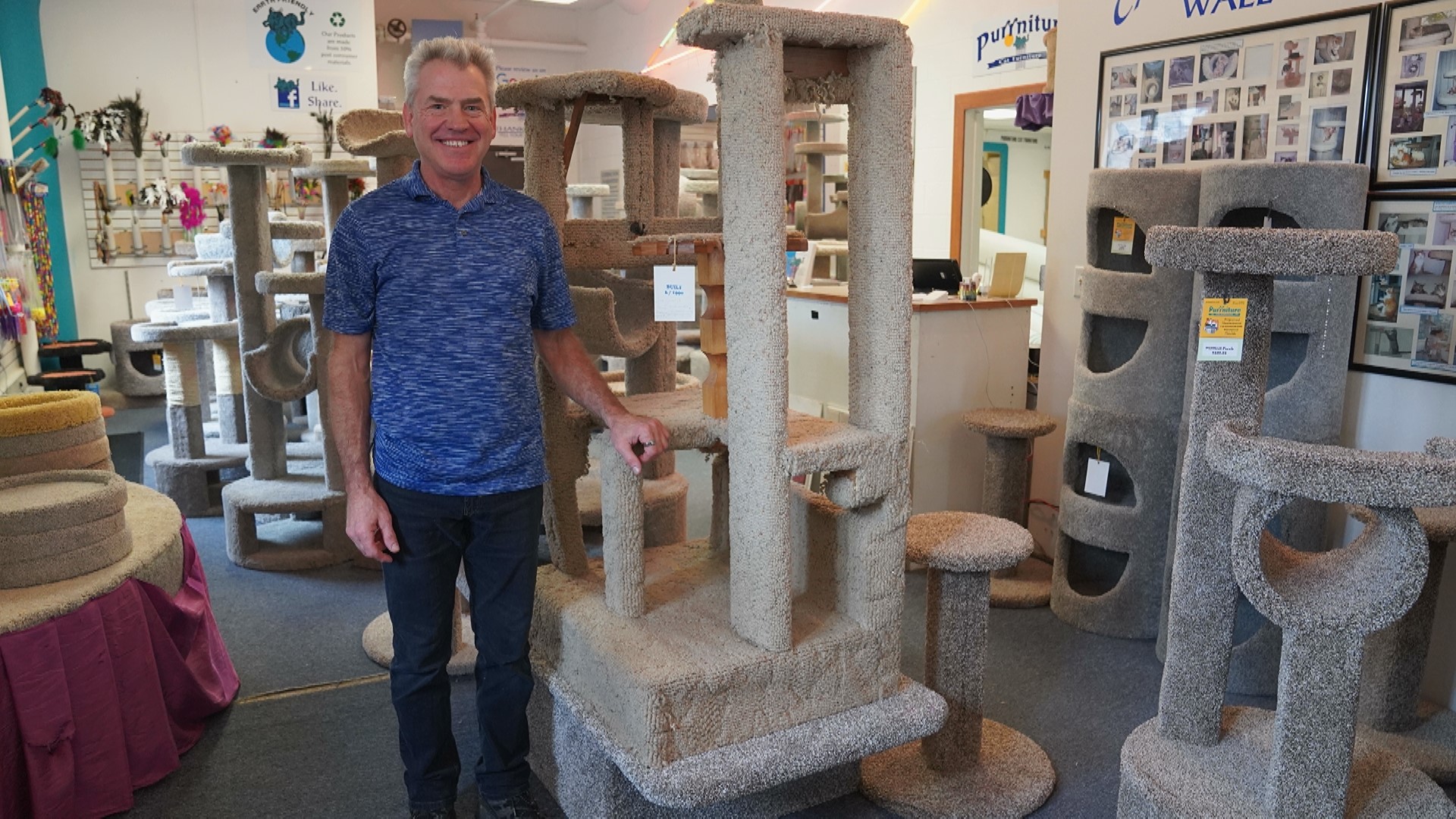 At Purrniture, cats come first | kare11.com