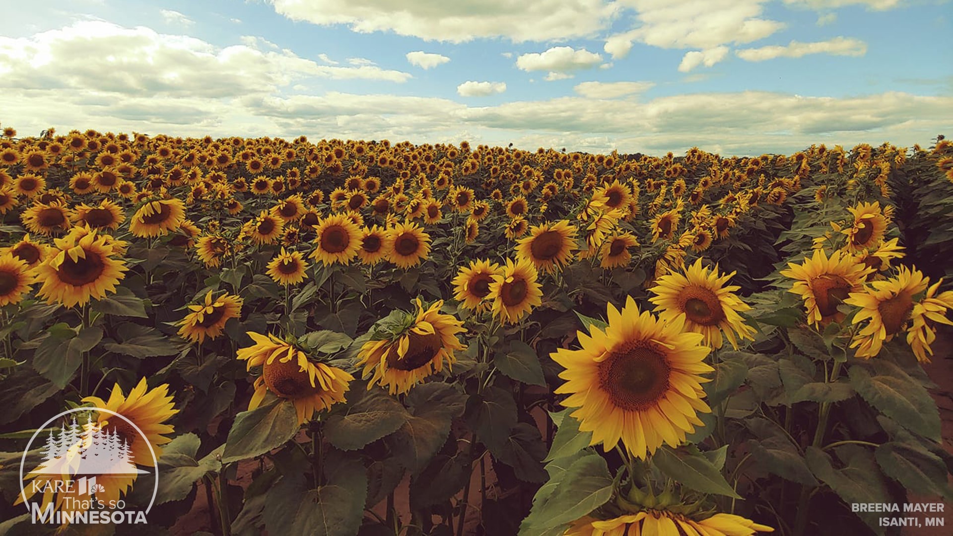 Update your Zoom background with these beautiful Minnesota photos ...