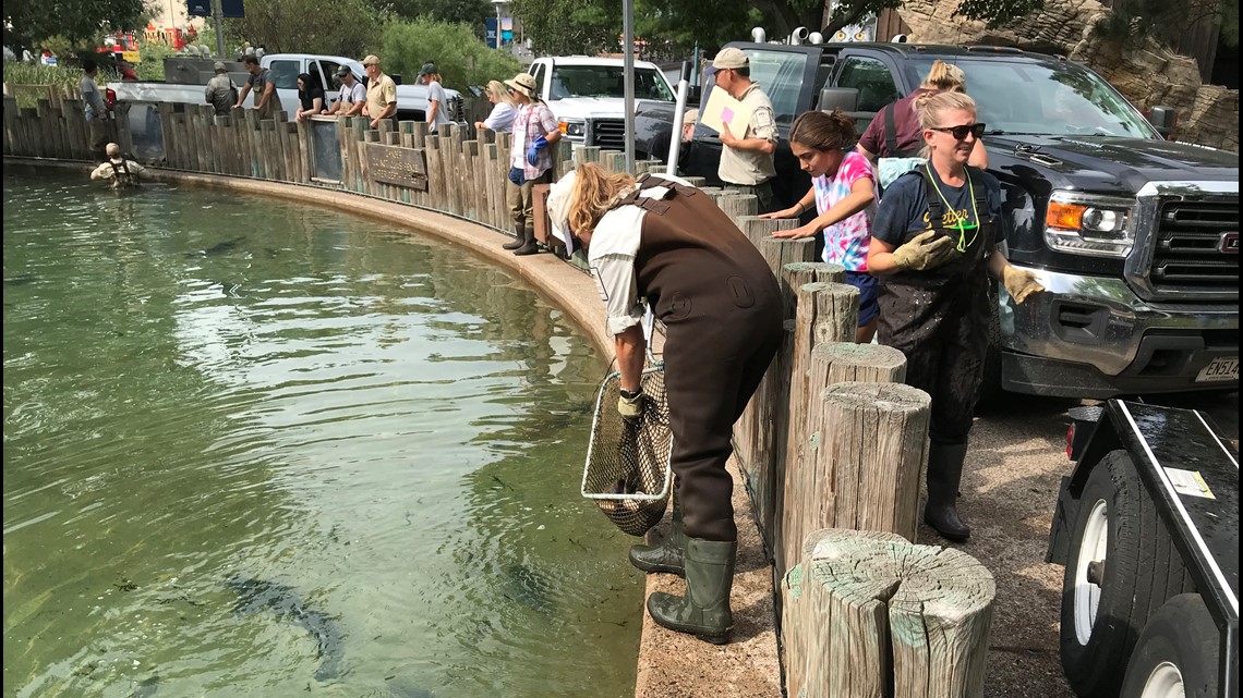 DNR Fish Pond a great getaway from State Fair chaos | kare11.com