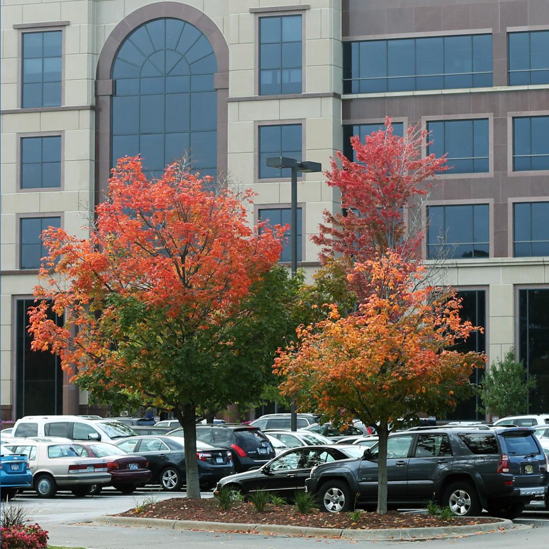 Medica acquires UCare; providers promise services 'without interruption ...