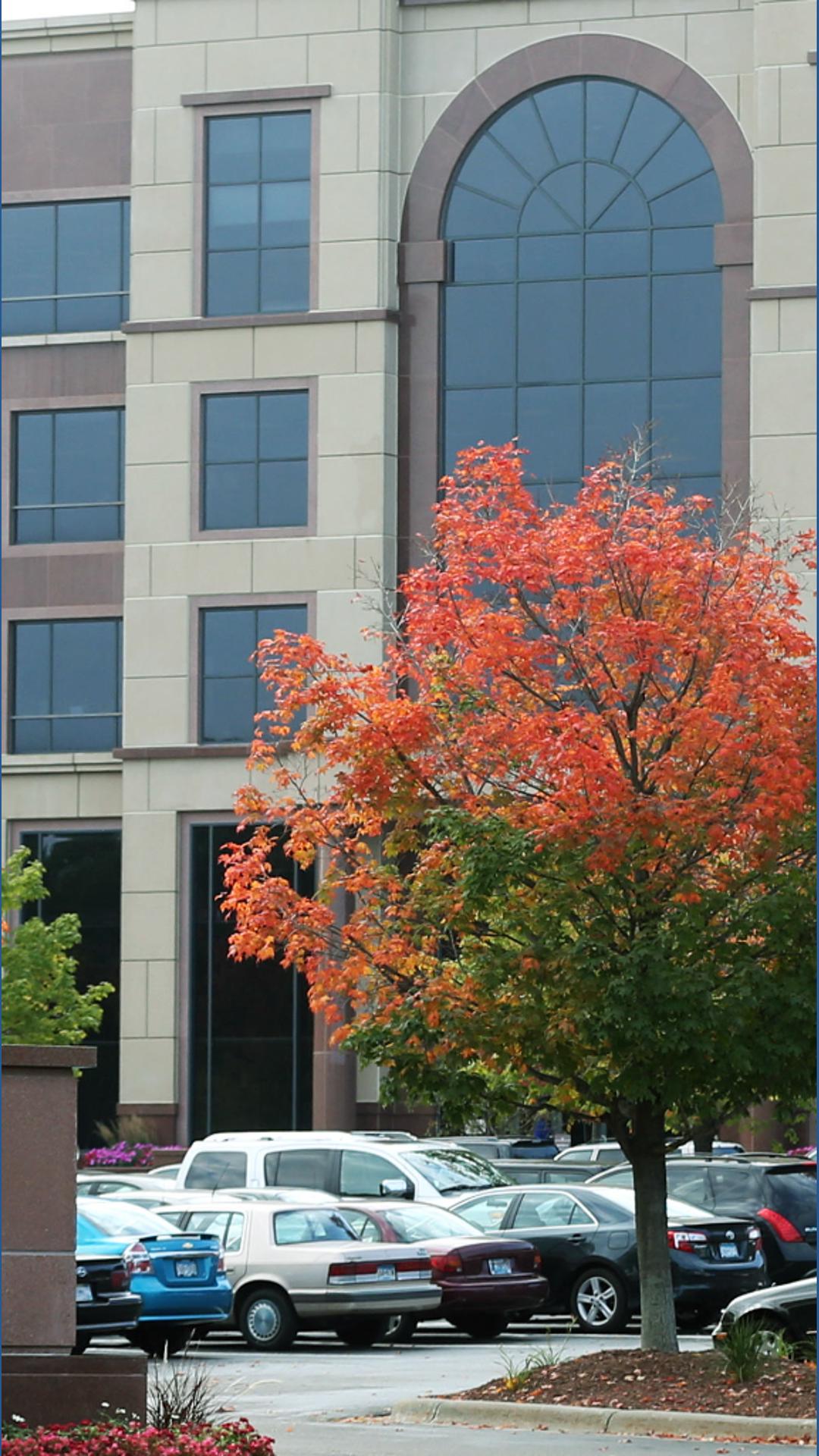 Medica acquires UCare; providers promise services 'without interruption ...