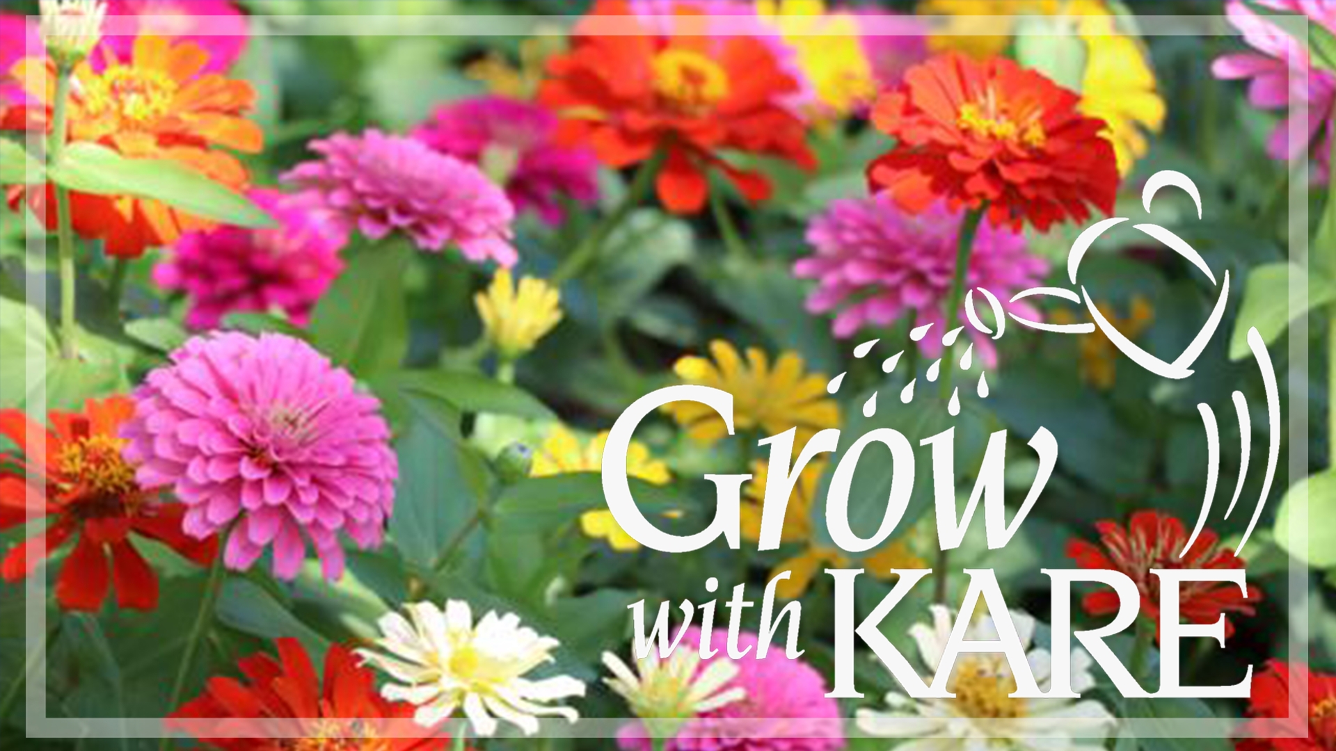 Mayor Jacob Frey, Sarah Clarke welcome newborn daughter | kare11.com