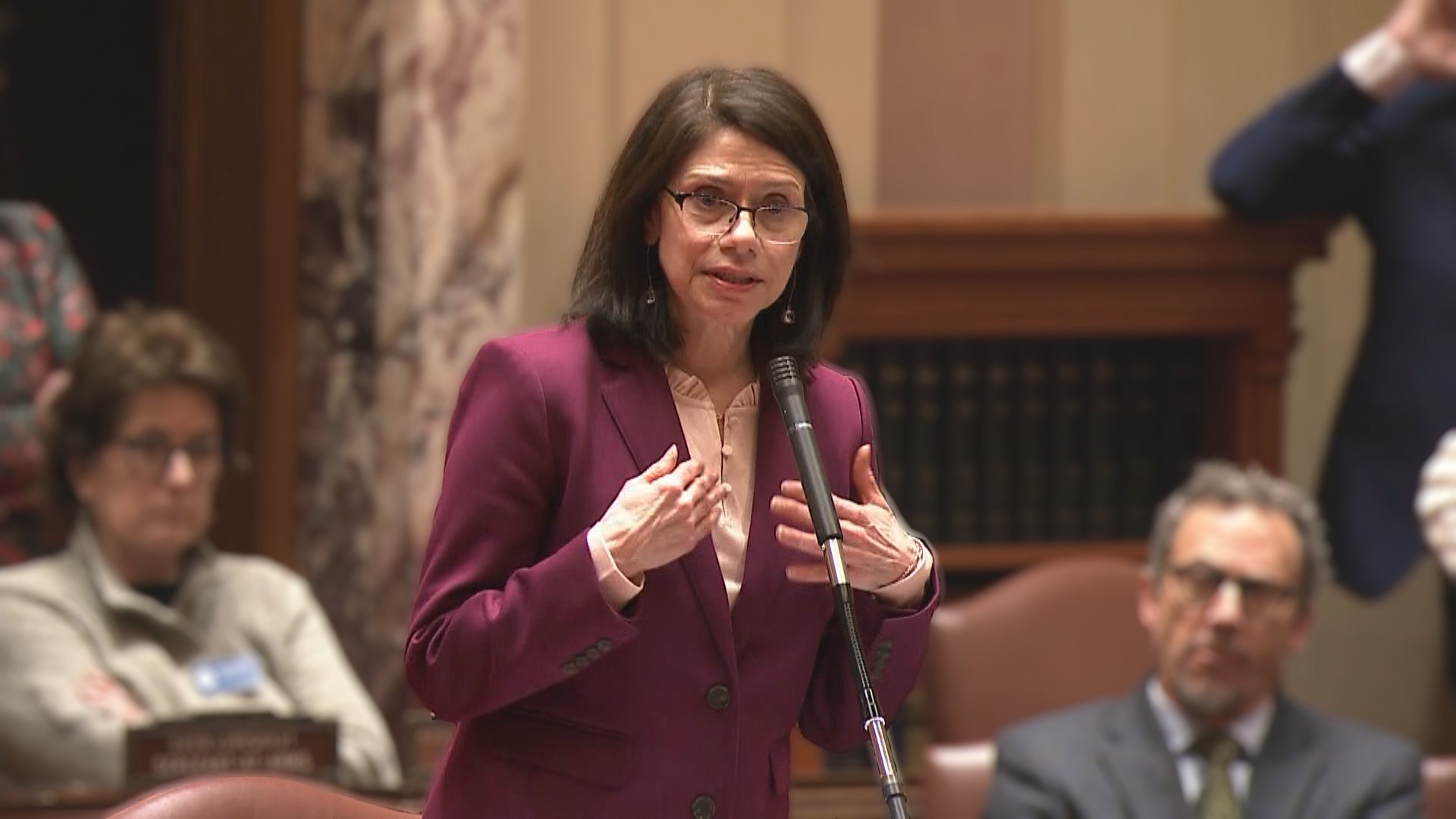 Kari Dziedzic, former Minnesota State Senate DFL leader, has died ...