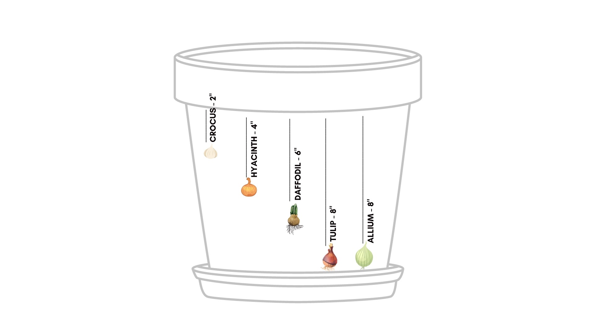 Grow with Kare: Making spring bulb lasagna in a pot | kare11.com