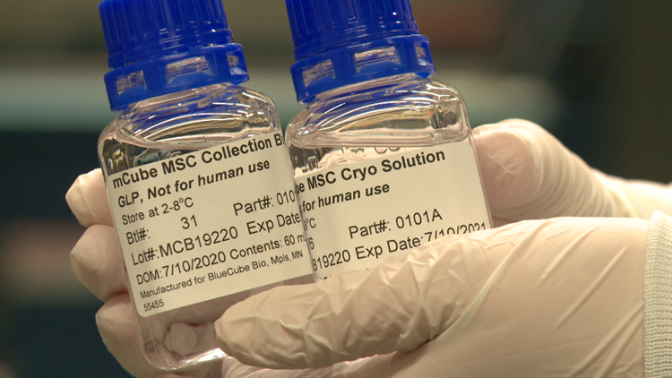 Preserving cells: Minnesota startup 'BlueCube Bio' develops new ...