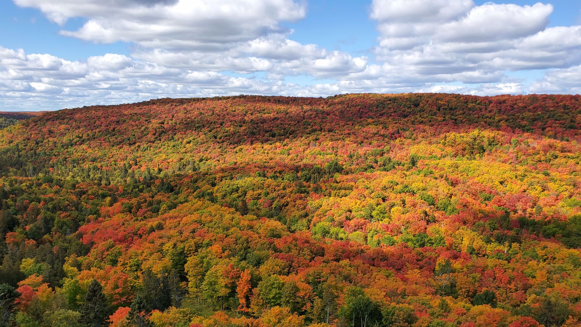 Your Photos: Fall colors in Minnesota | kare11.com