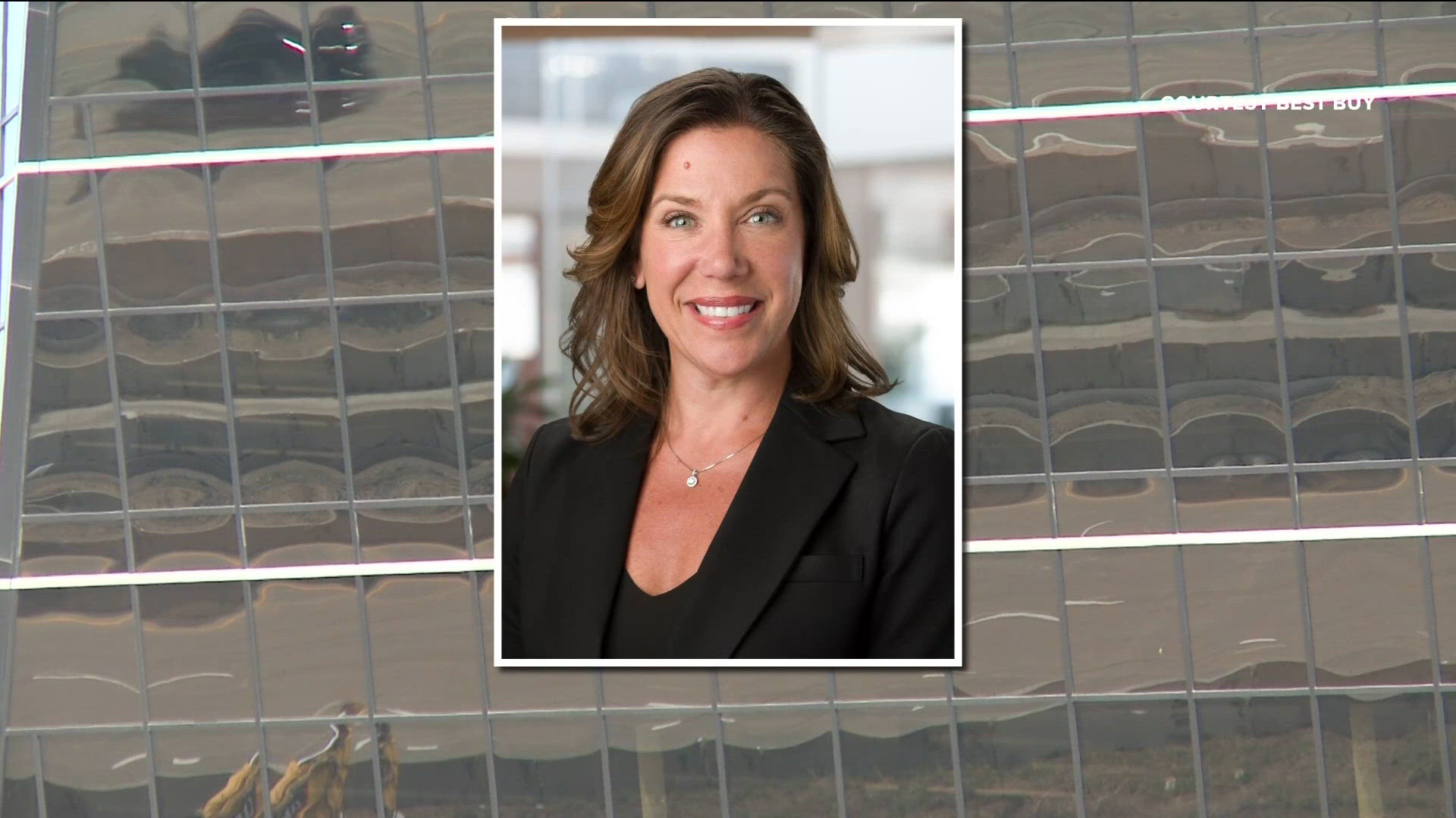Second-longest serving CEO in Best Buy history to step down this fall ...