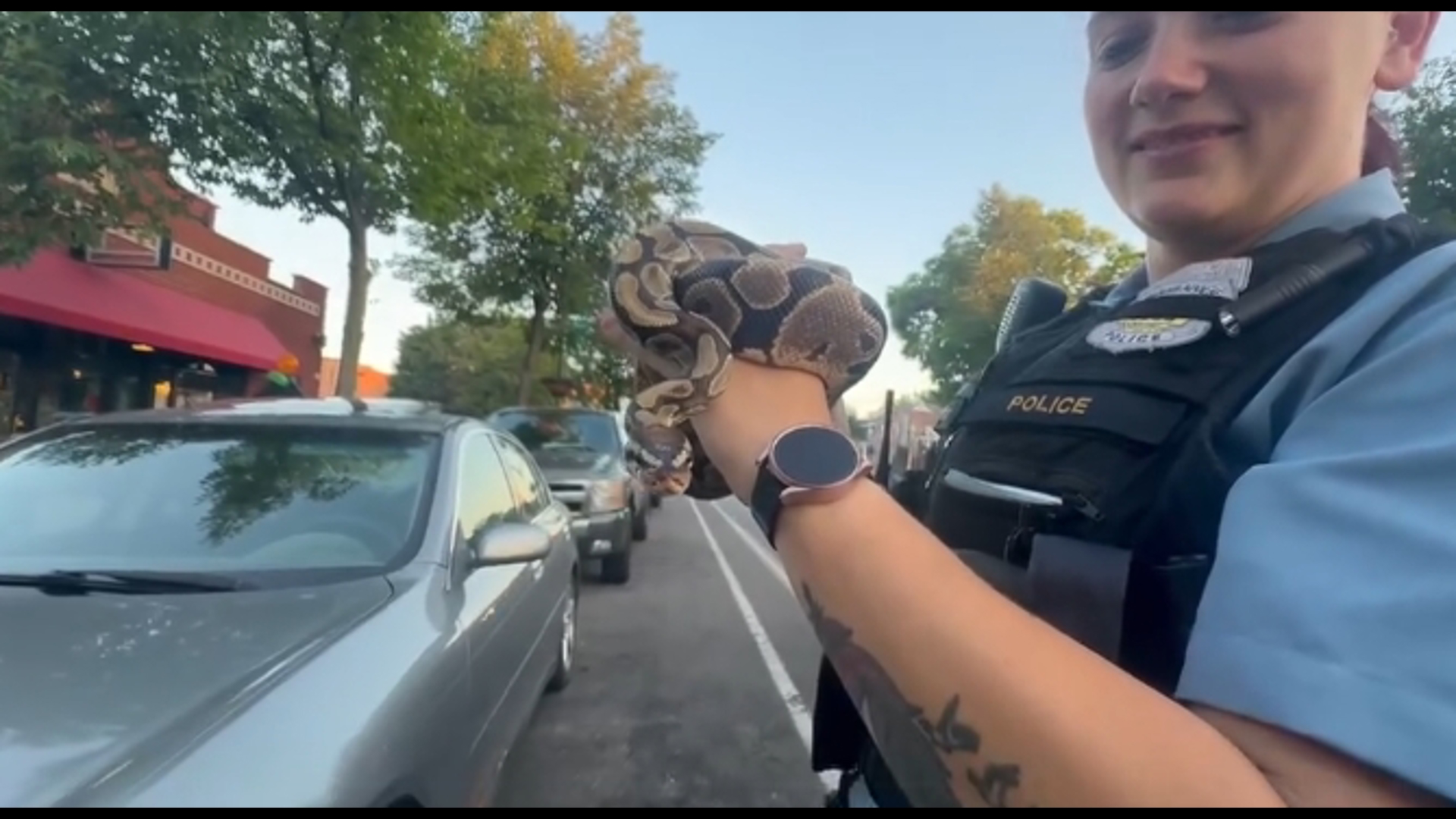 Minneapolis Police find boa constrictor in rideshare | kare11.com