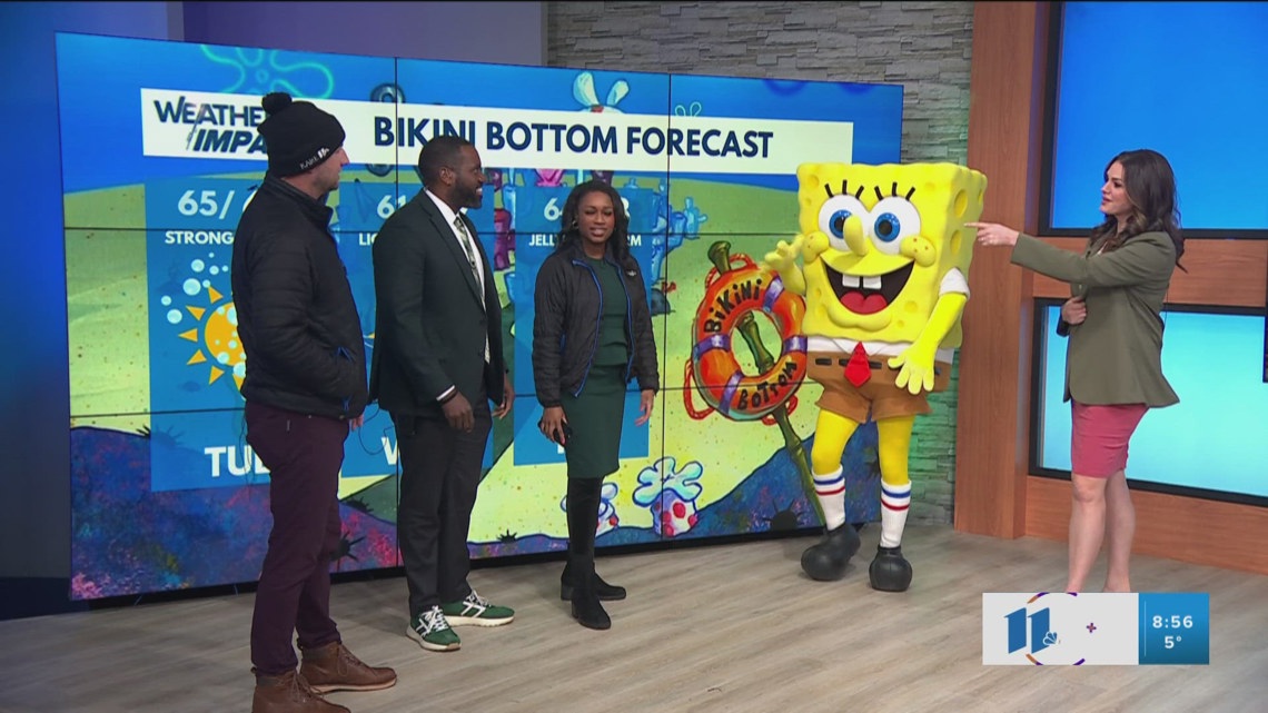 Spongebob gives the Bikini Bottom Forecast on KARE 11 Sunrise | kare11.com