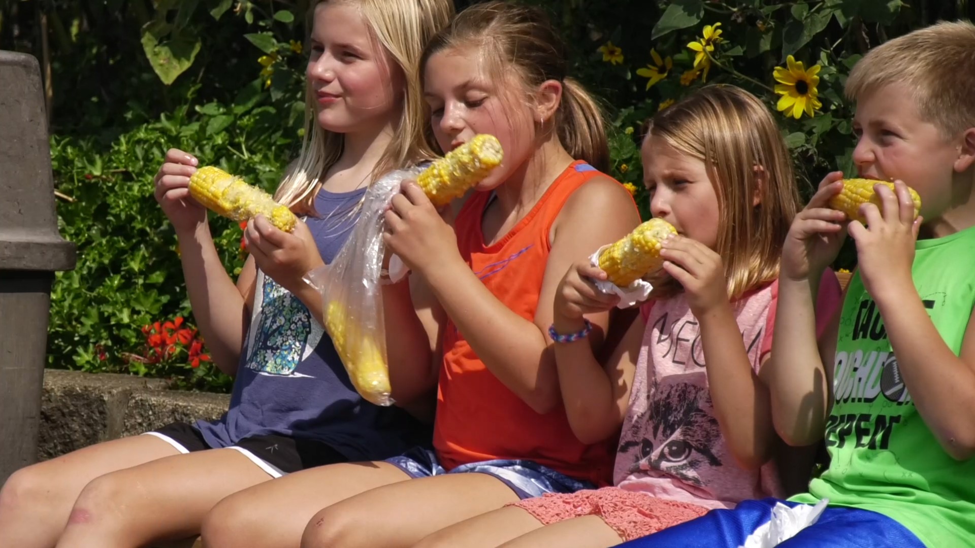 Valleyfair debuting Corn Fest this August | kare11.com