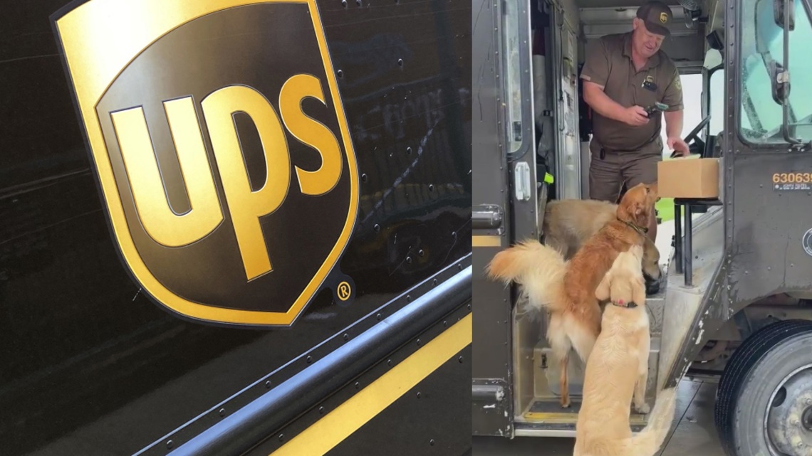 South metro pups are CRAZY about the UPS guy | kare11.com