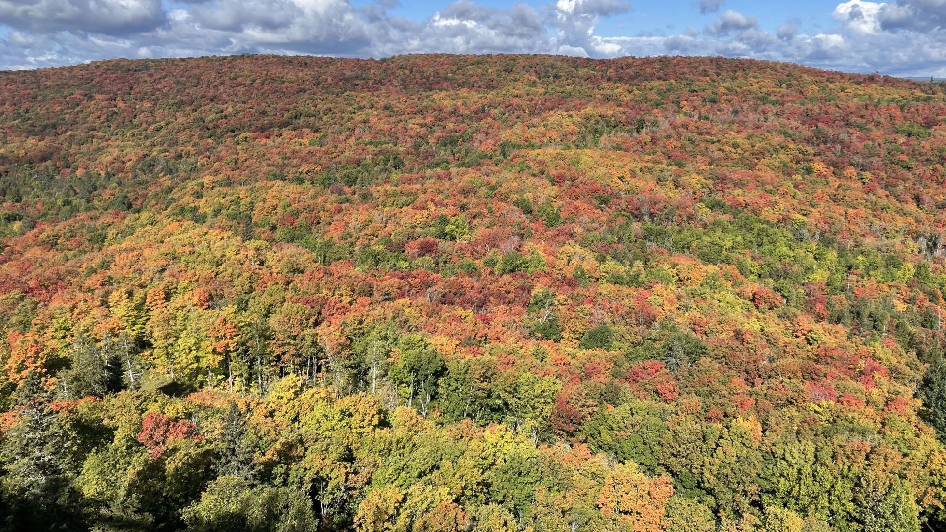 11 Minnesota apple orchards to check out this fall | kare11.com