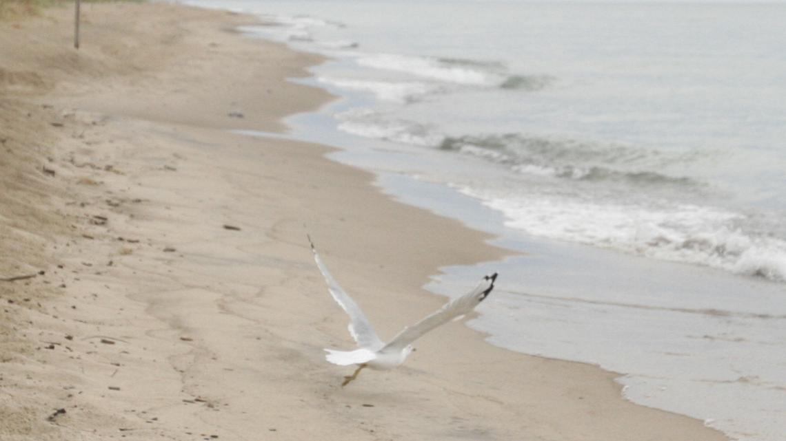 Diver's body recovered, exploring Lake Michigan shipwreck | kare11.com