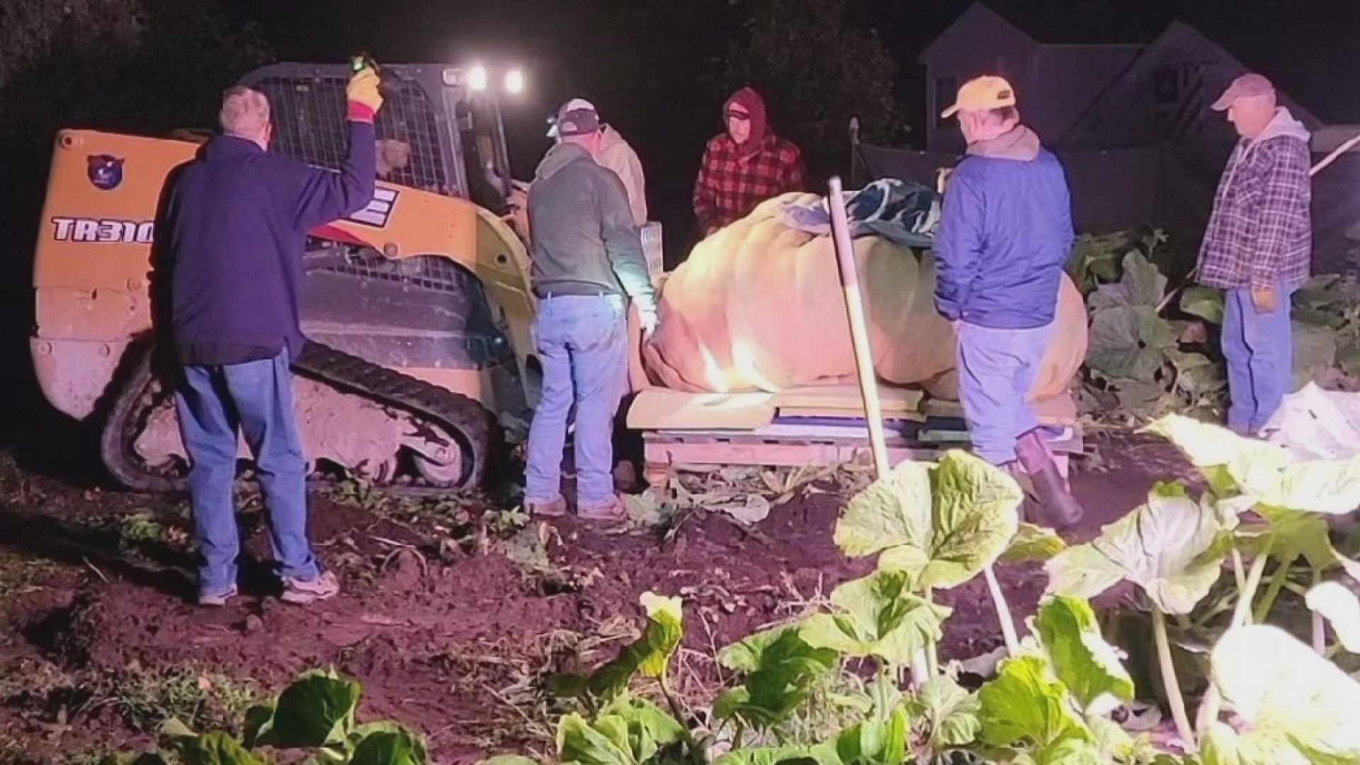 Minnesota-grown pumpkin sets world record | kare11.com