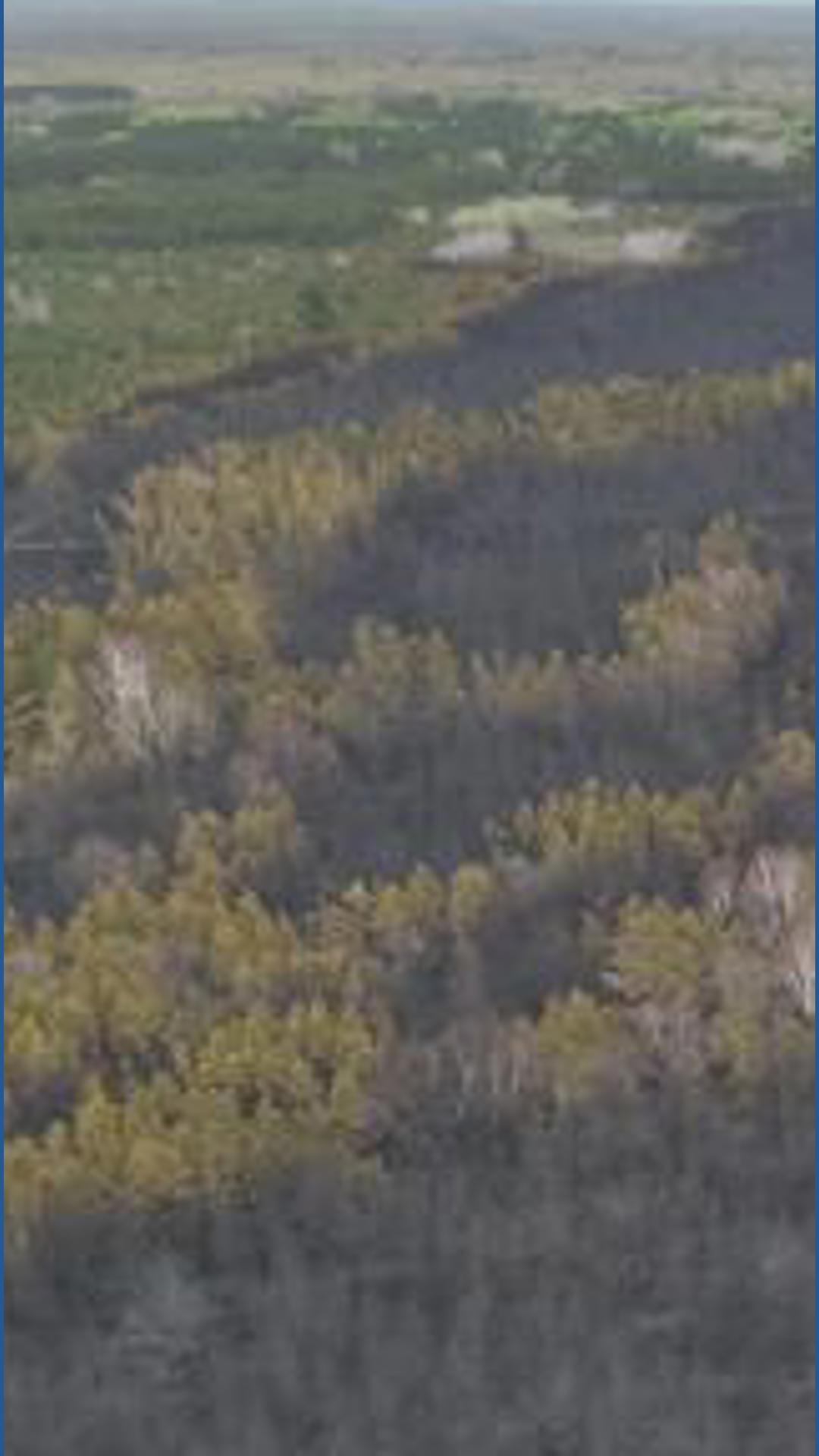 Large grass fire reported in Anoka County | kare11.com