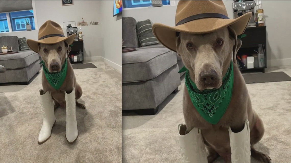 Your Good News: Karrie Rodriguez, Megan Ulrich, Daniel Randolph ...