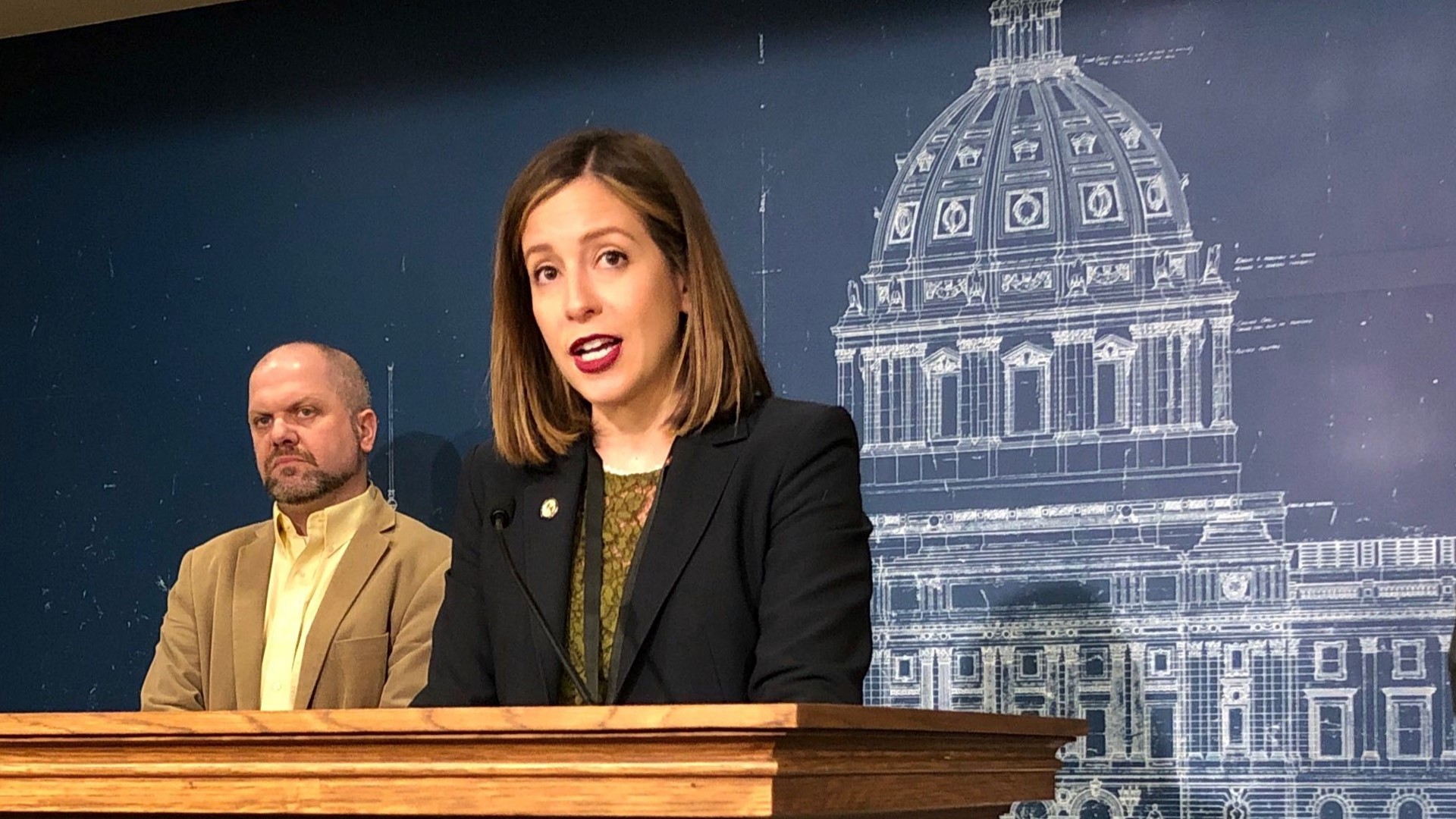 Senate Minority Leader Melisa Franzen not running for reelection ...