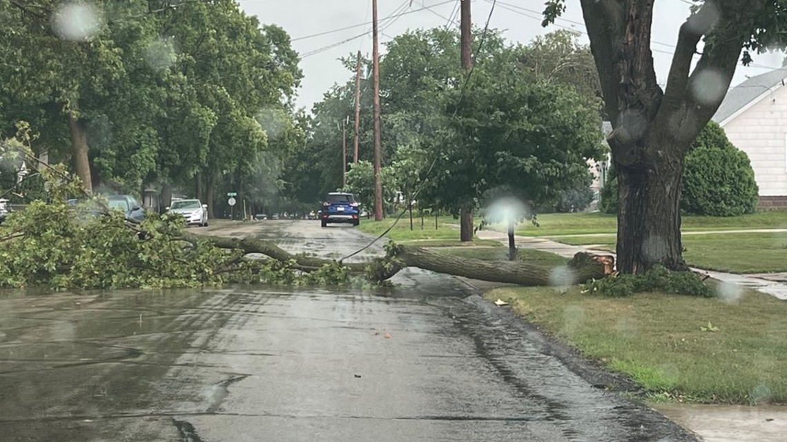 Strong storms deliver hail, high winds across southeast Minnesota ...