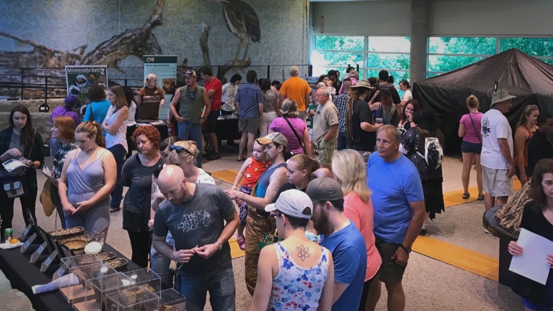 Minnesota Bat Festival convenes for first time in 3 years | kare11.com