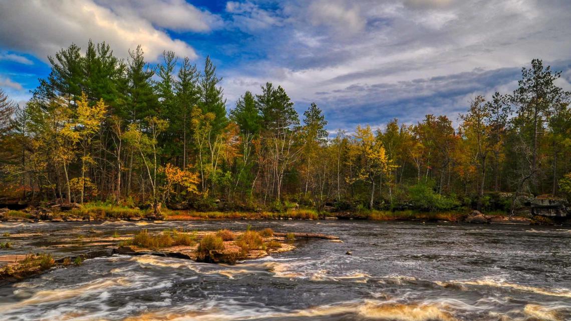 Minnesota DNR shares Fall Color Forecast, guide to leaf looking ...
