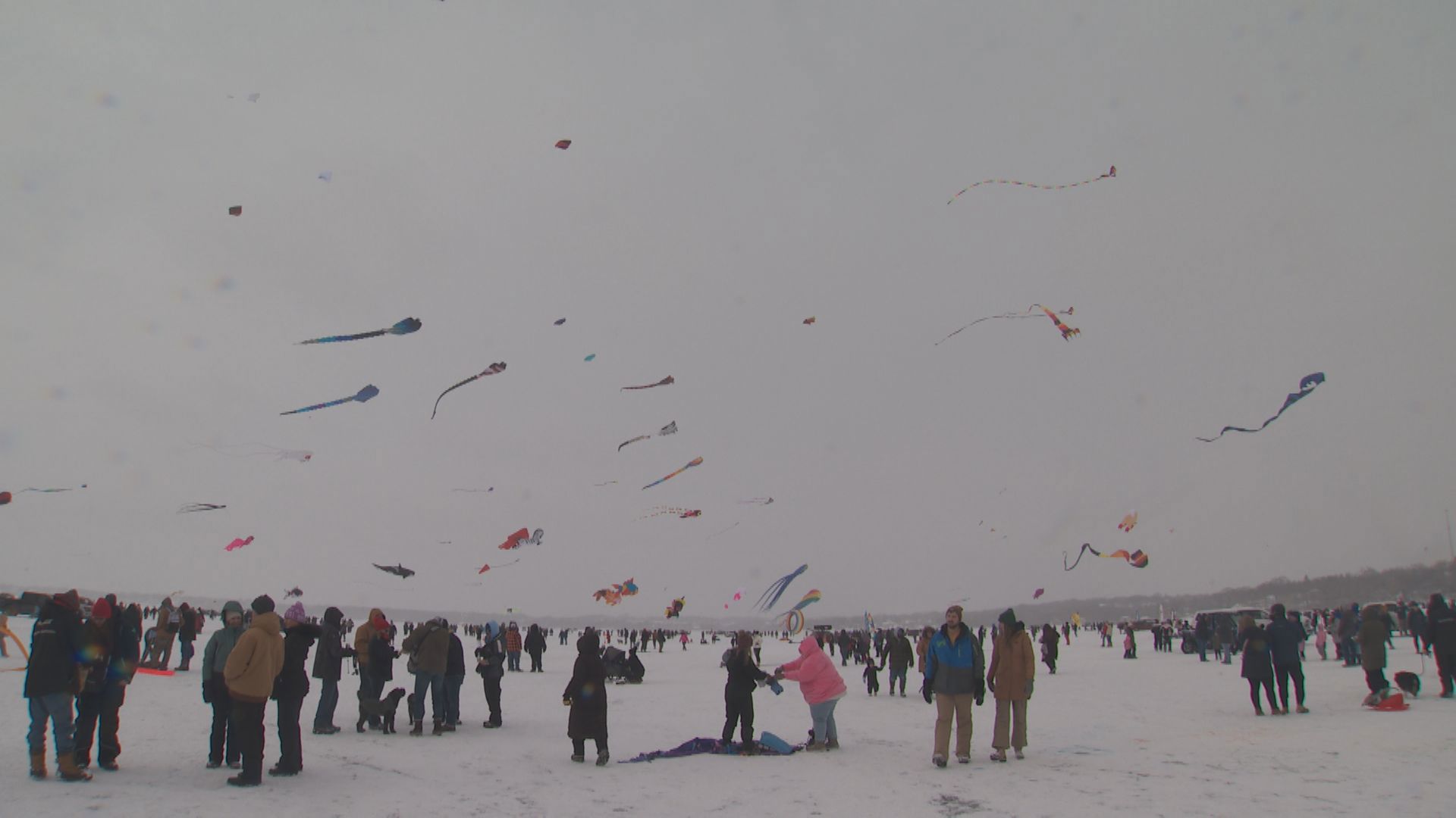 Massive kites draws crowds in Buffalo | kare11.com