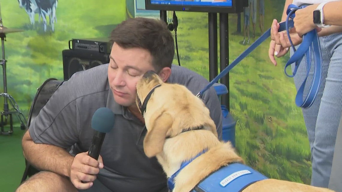 Helping Paws shares its experience training service dogs at State Fair ...