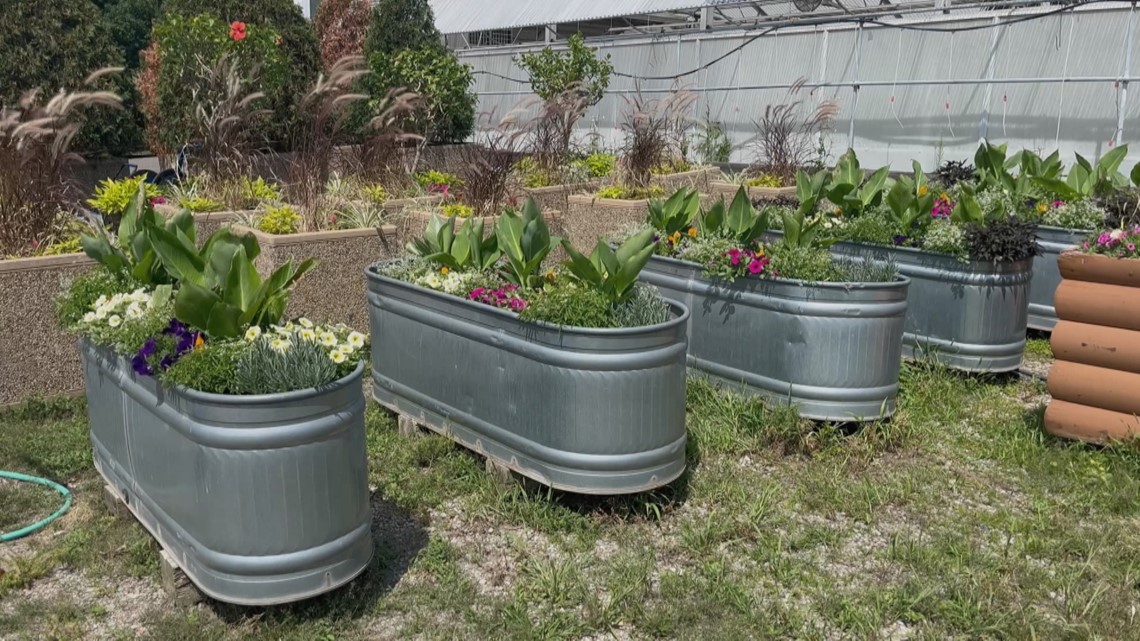 Grow with KARE: Fun facts about the State Fair gardens | kare11.com