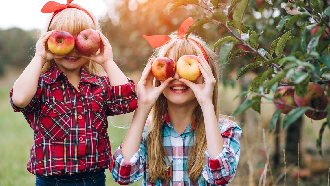 Apple orchards to check out | kare11.com