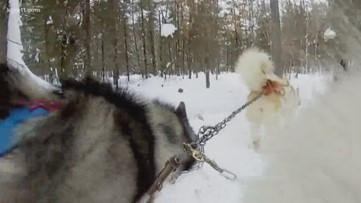 Terri Traen opens up about KQRS ousting | kare11.com