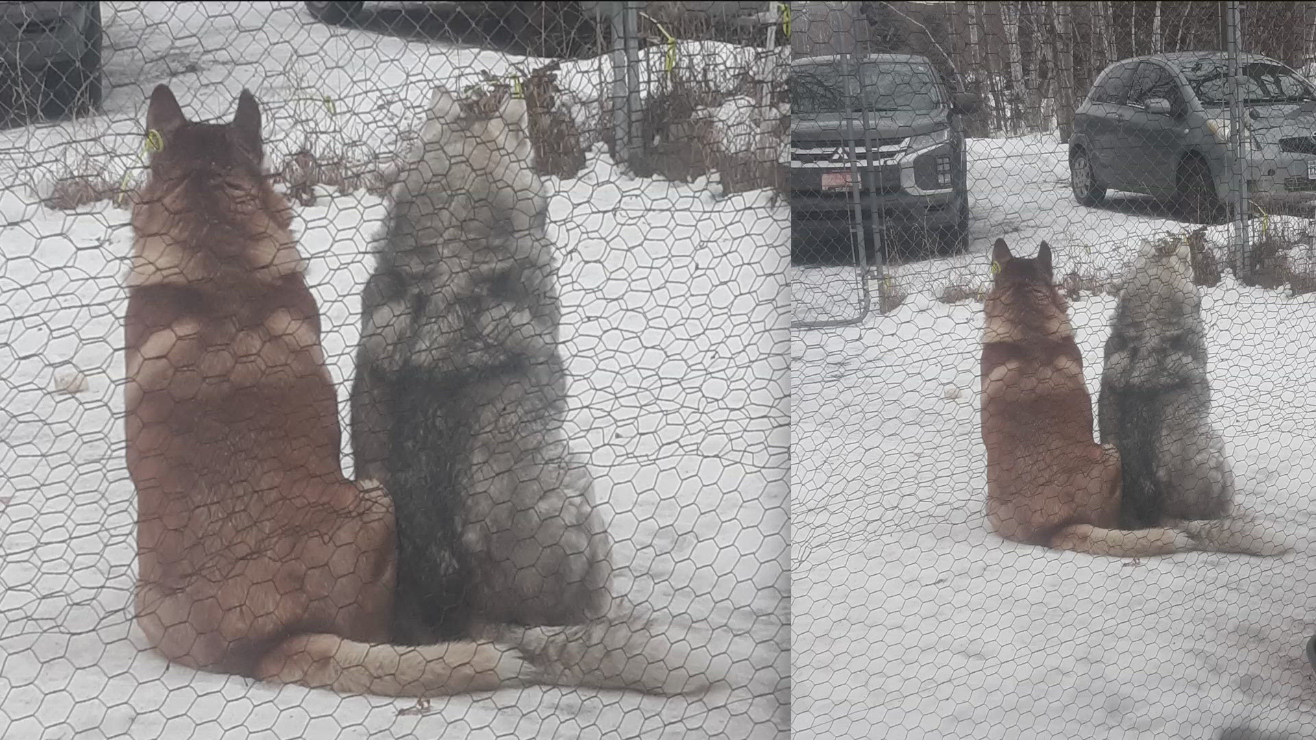 Your Good News: Rachel, Adam, Sammy | kare11.com