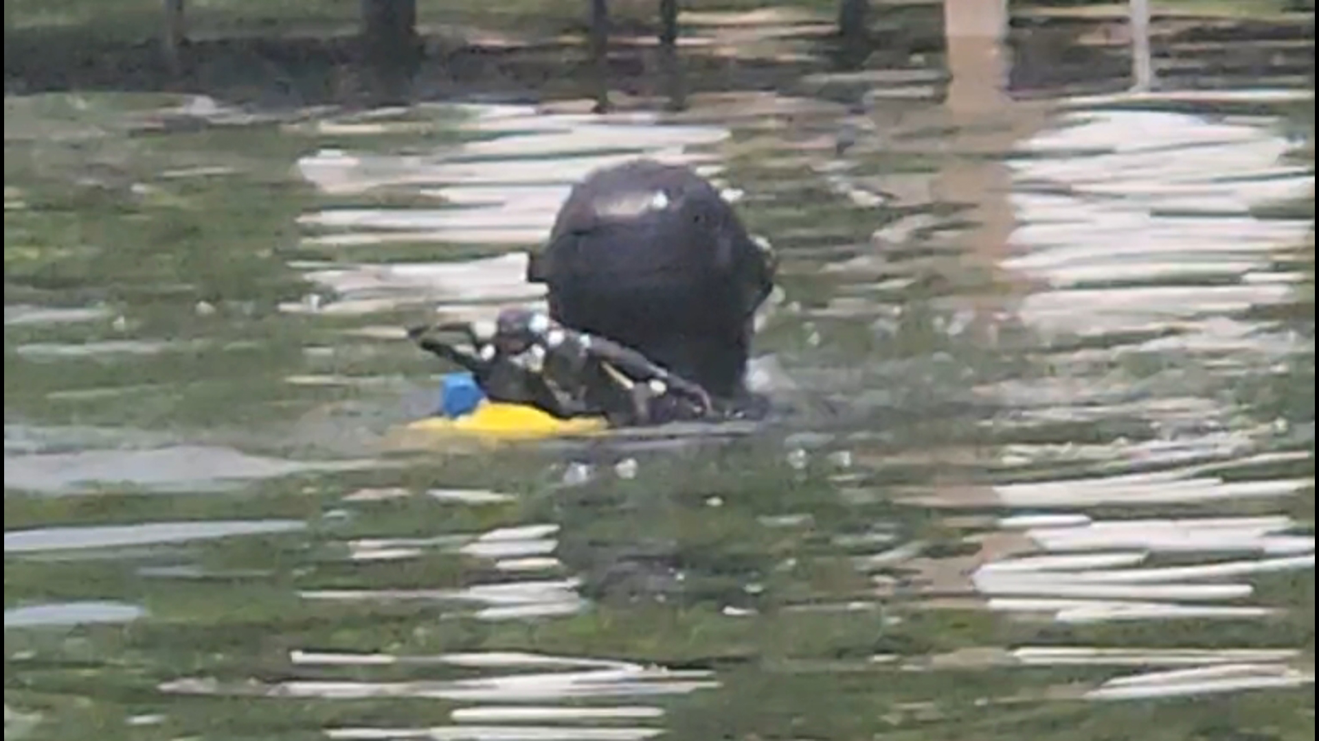 KARE 11 Investigates | Murky rules lead to scuba diving deaths | kare11.com