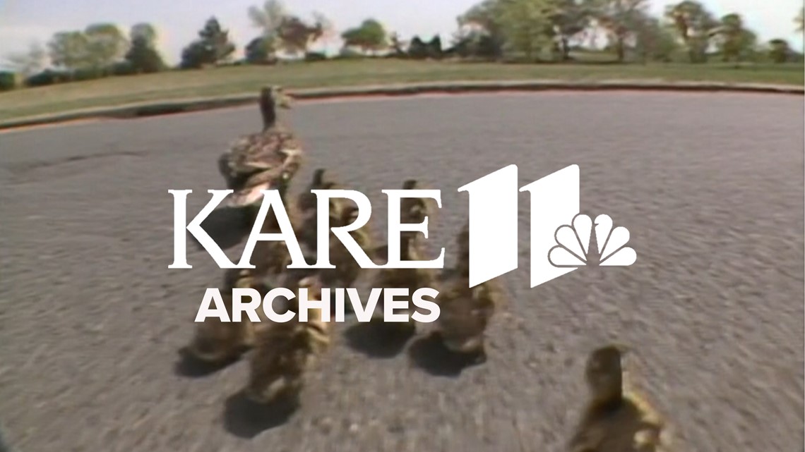 Ducks (1987) From the Archives | kare11.com