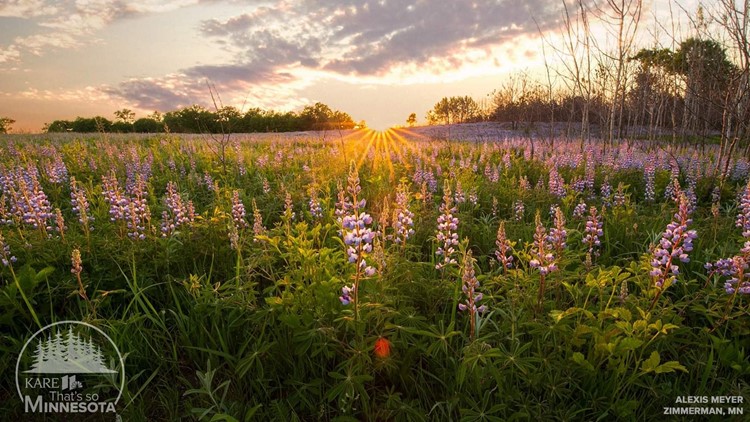 Update your Zoom background with these beautiful Minnesota photos ...