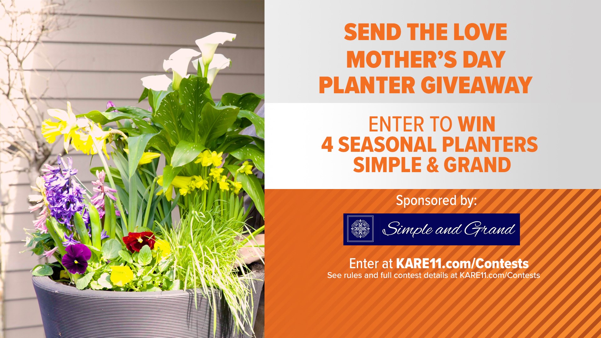 Pollinator license plates help preserve Minnesota habitats | kare11.com