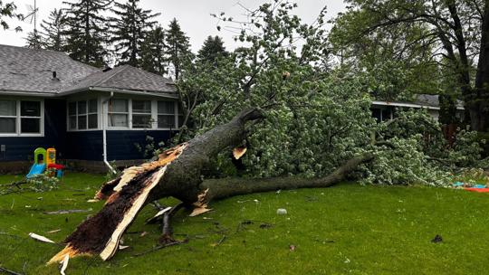 Local News | Minneapolis, Minnesota | kare11.com