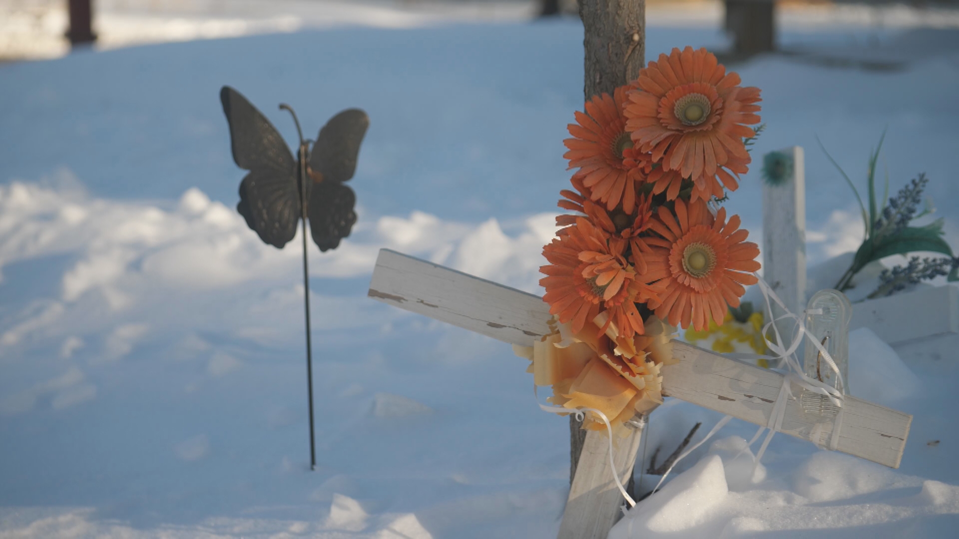 Family of woman killed by stray bullet pushes to rename north ...