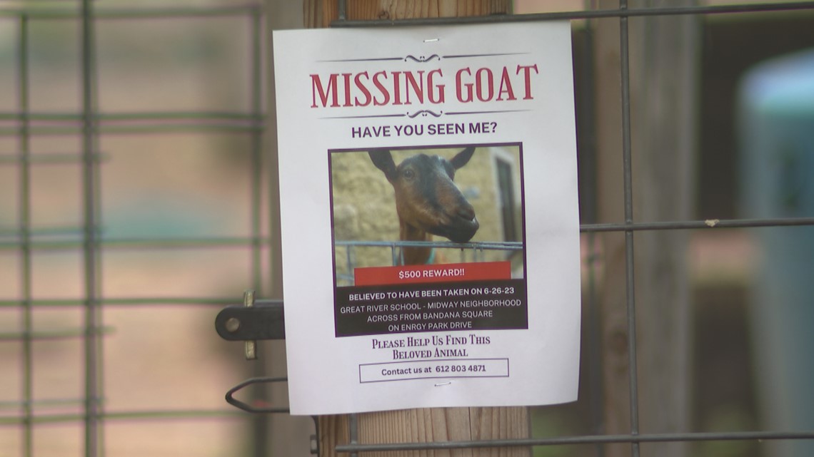 St. Paul police investigating after missing goat found dead | kare11.com