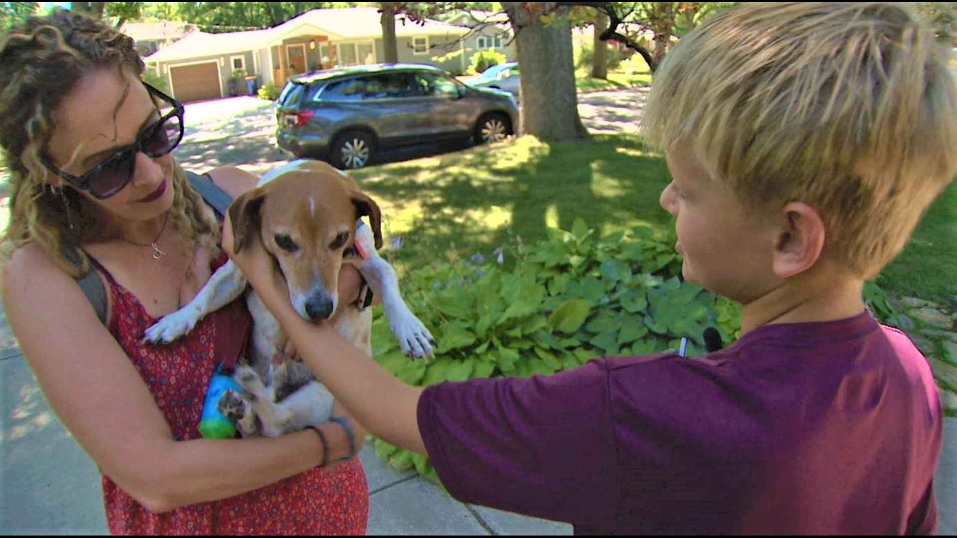 Emmett Rychner builds wheelchair for his teacher's dog | kare11.com
