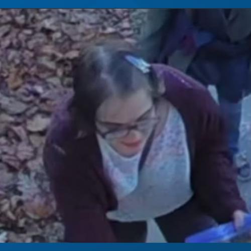 Wisconsin woman convicted in 'Slender Man' stabbing found after fleeing ...