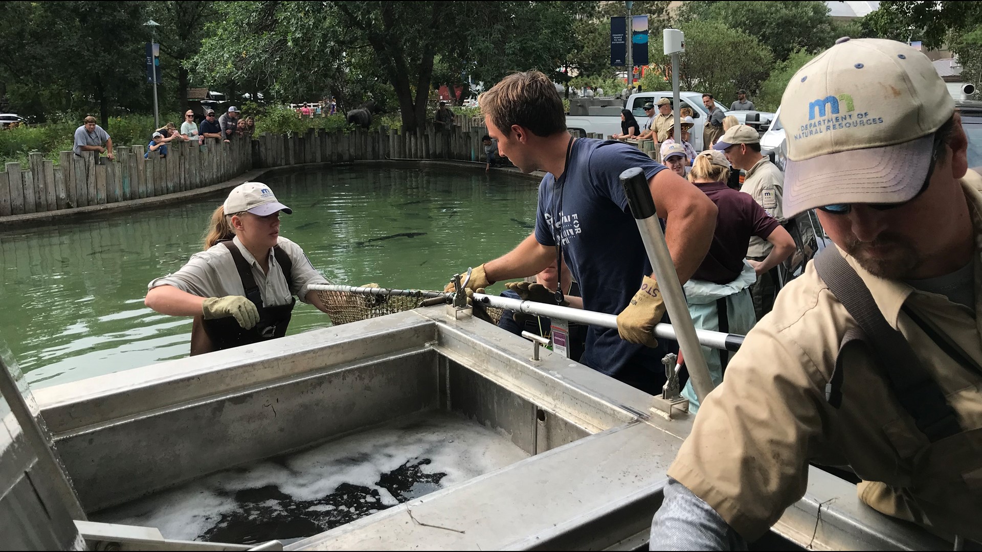 DNR Fish Pond a great getaway from State Fair chaos | kare11.com