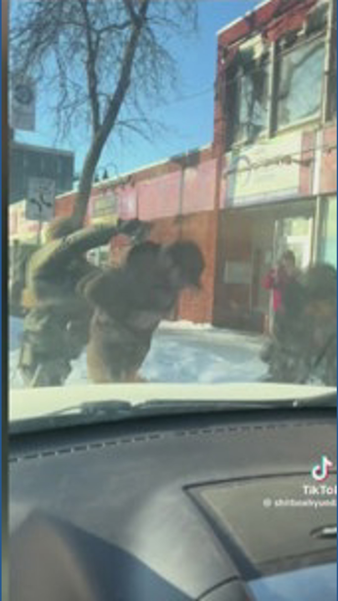 Video shows new angle in Alex Pretti shooting | kare11.com