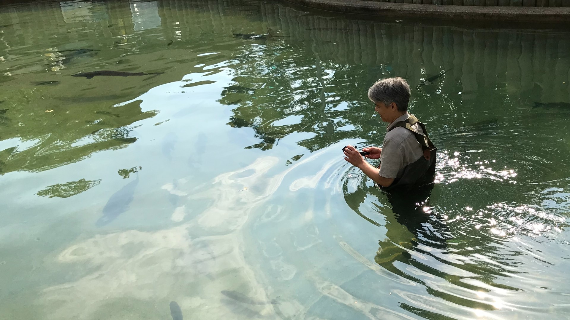 DNR Fish Pond a great getaway from State Fair chaos | kare11.com