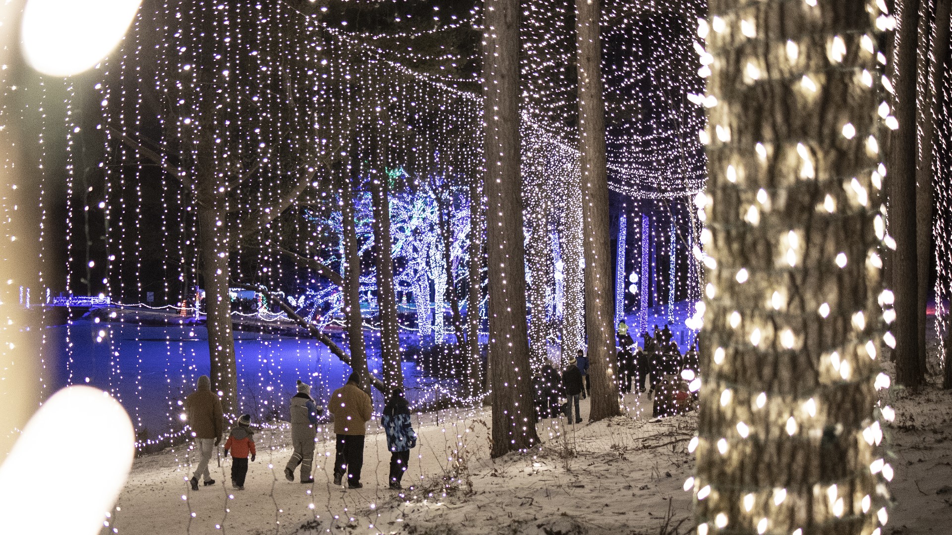 Check out the Miracle at Big Rock holiday light show | kare11.com