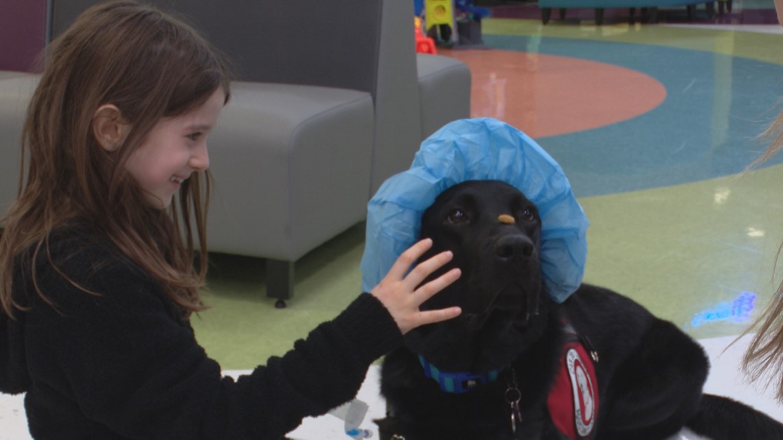 Children's Minnesota hires its first medical 'dogtog' | kare11.com
