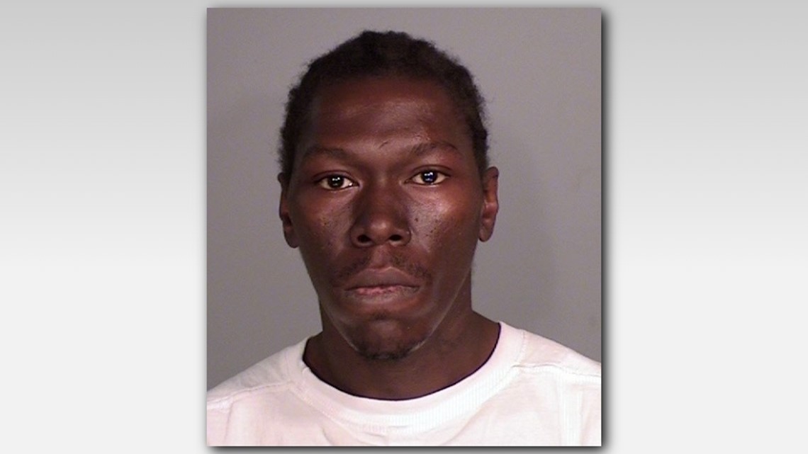 Jury finds Truck Park bar shooter Terry Brown guilty of murder | kare11.com