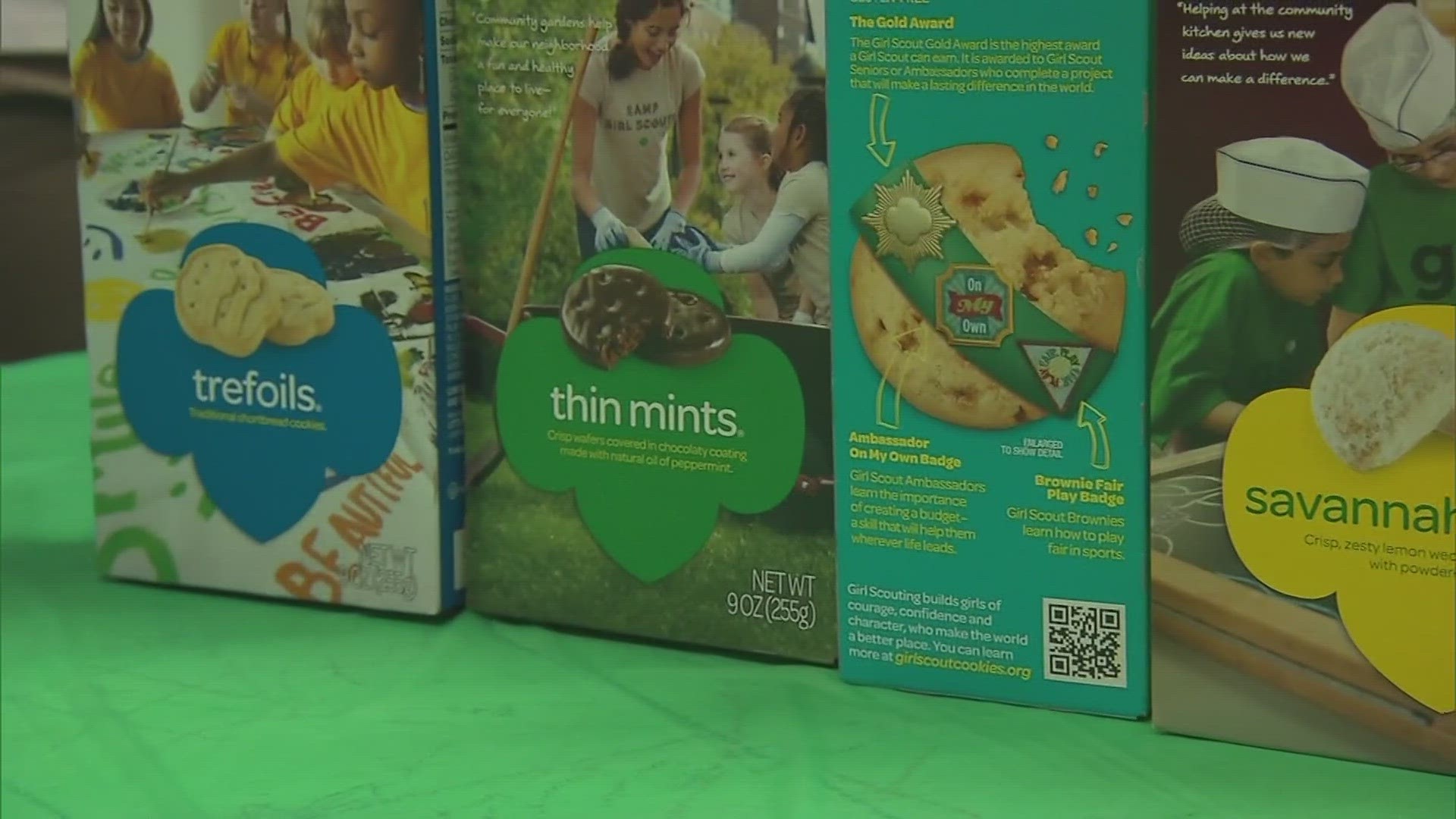 Girl Scout Cookies 2022 Prizes