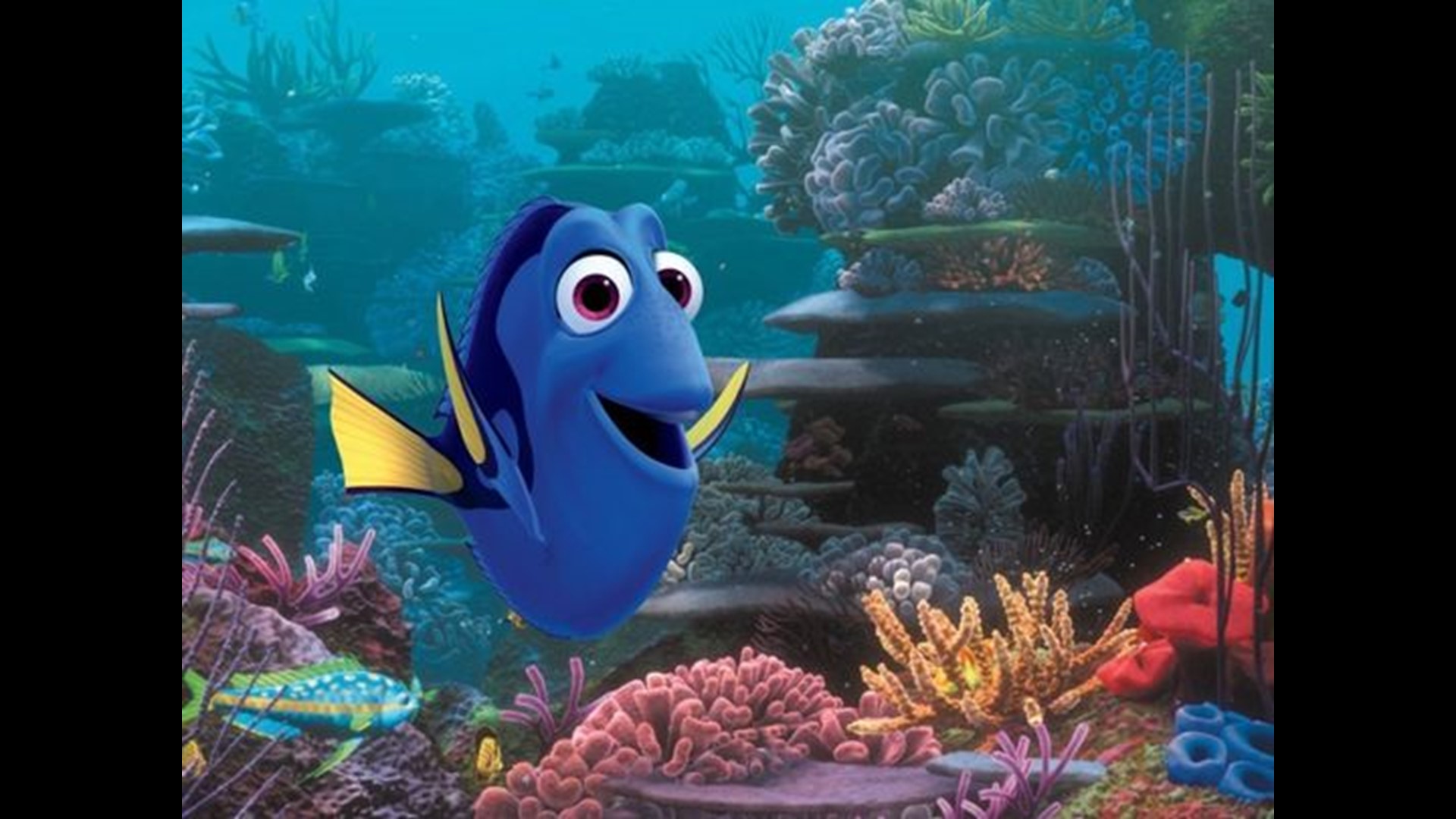 Sneak peek: Meet the parents of 'Finding Dory' | kare11.com